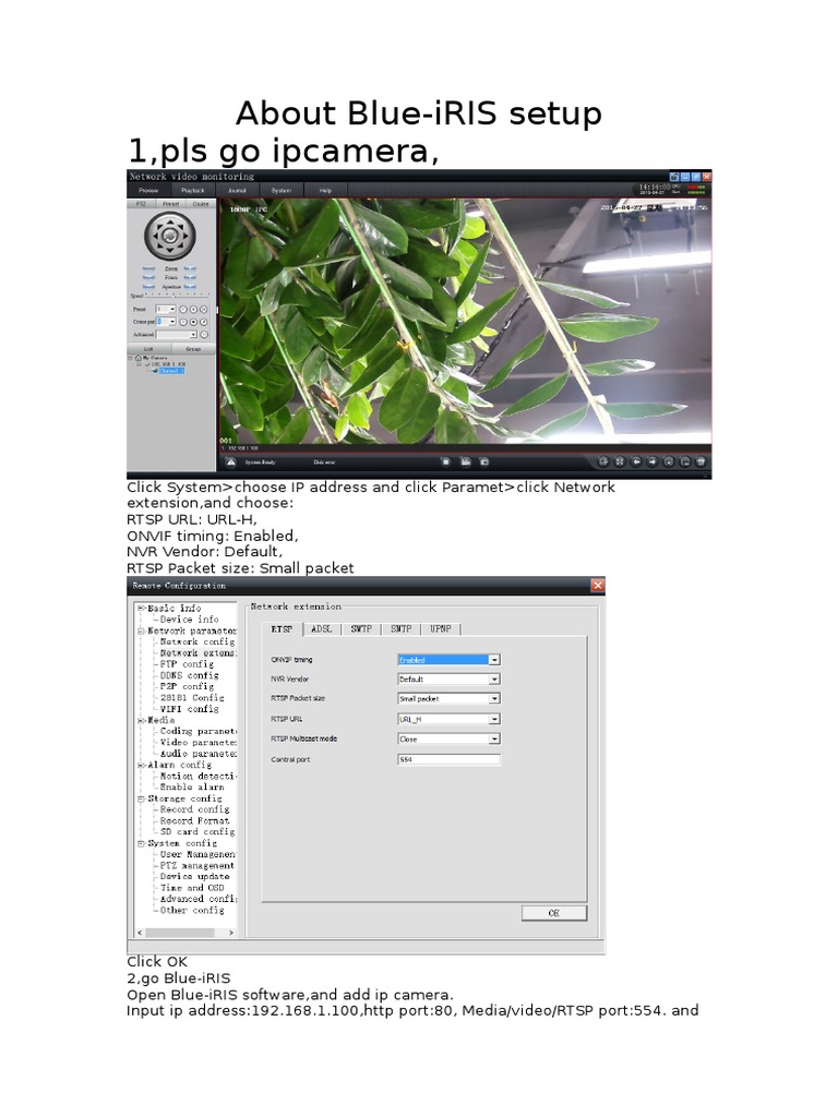 Blue IRIS Setup | PDF