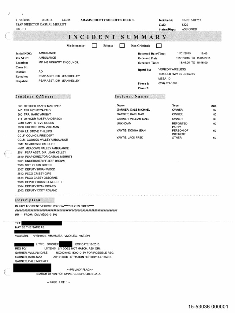 Reports On Yantis Homicide | PDF