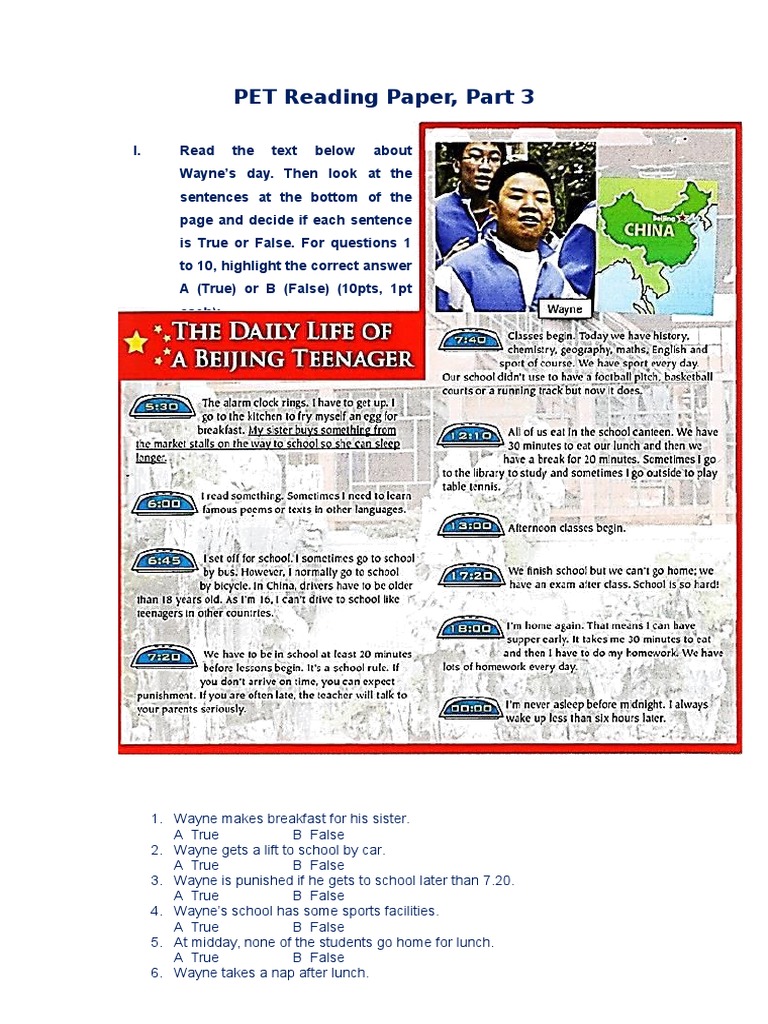 Pet Reading Part 3 Ex 3 | PDF