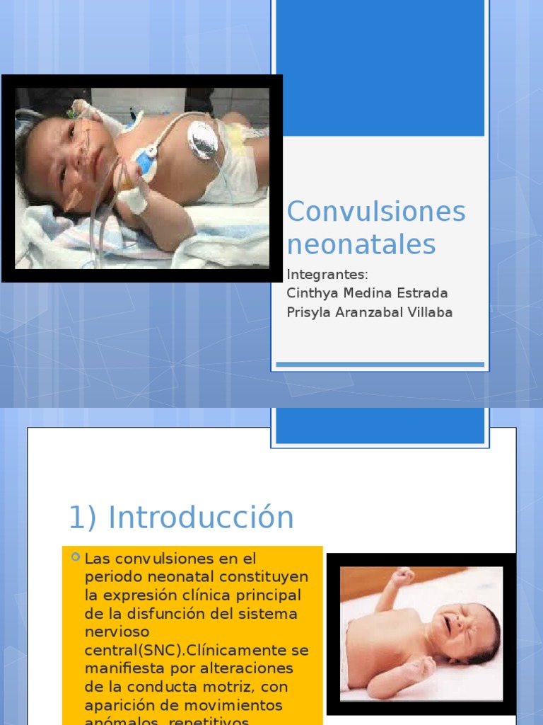 Convulsiones Neonatales | PDF | Hipertensión | Enfermedades y trastornos