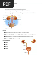 Intramurals Script Final | PDF | Leisure