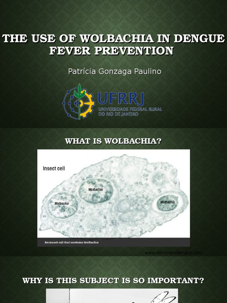 The Use of Wolbachia in Dengue Fever Prevention | PDF