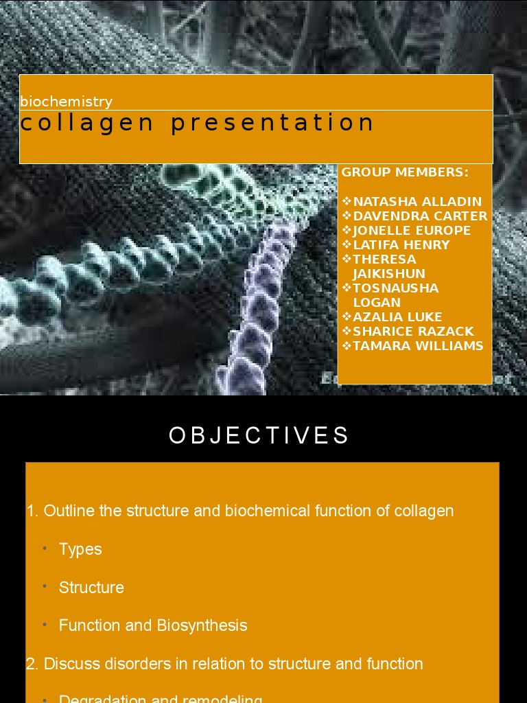Collagen Presentation 1 | Download Free PDF | Collagen | Alpha Helix