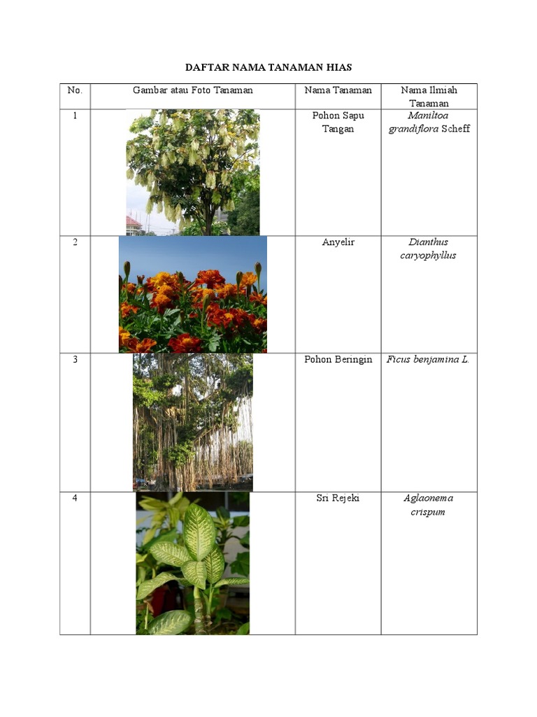 Daftar Nama Tanaman Hias | PDF | Tanaman | Botani