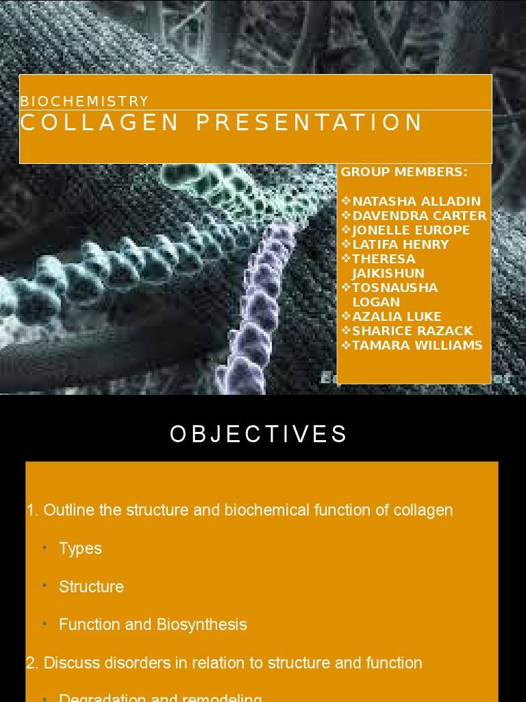Collagen Presentation: Biochemistry