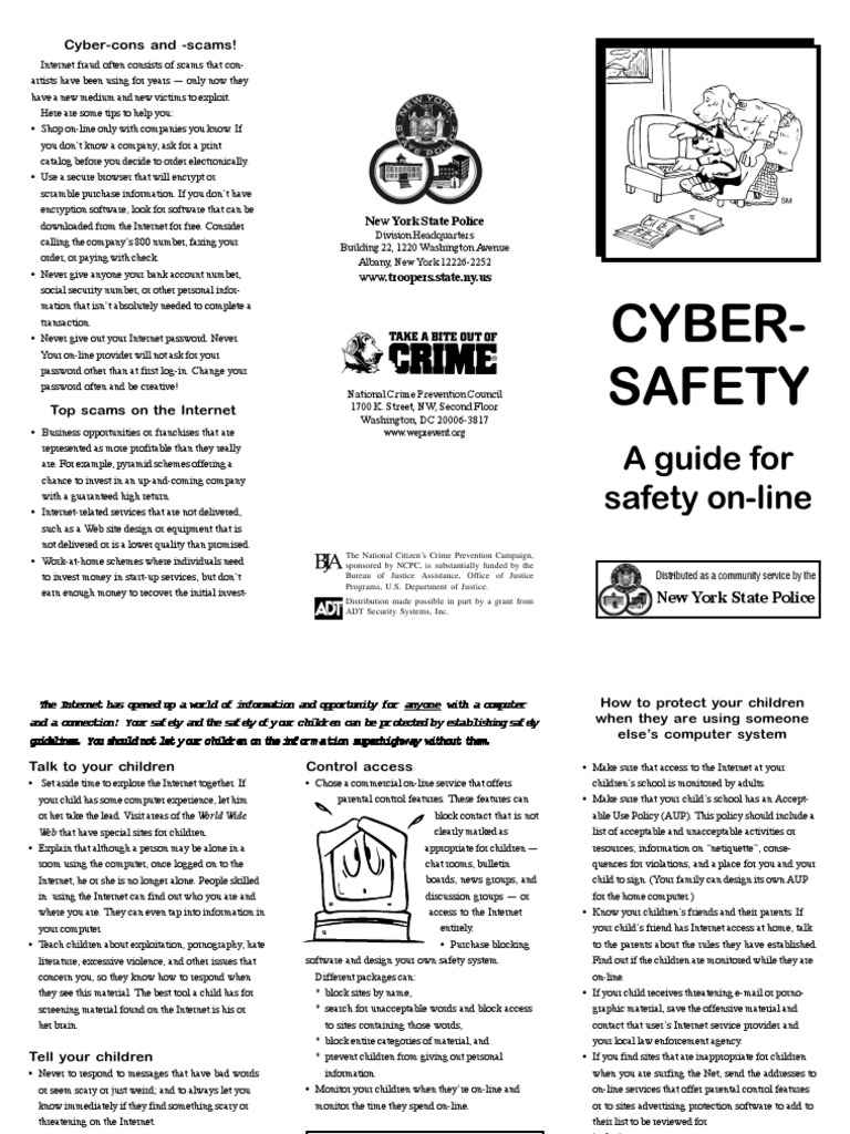 Cyber Safety | PDF | Cyberspace | Information Technology