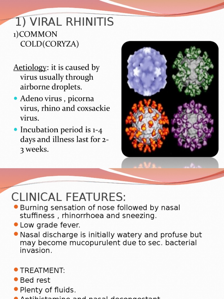 Acute and Chronic Rhinitis | PDF | Human Nose | Rhinology