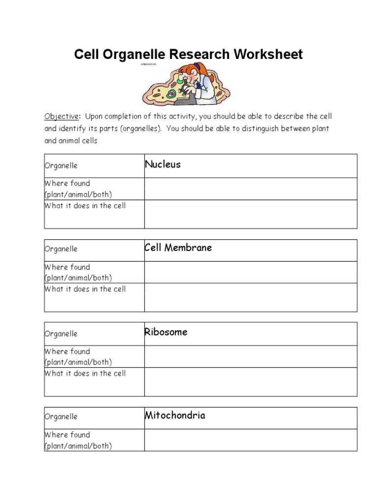 Cell Organelle Research Worksheet | PDF | Science & Mathematics