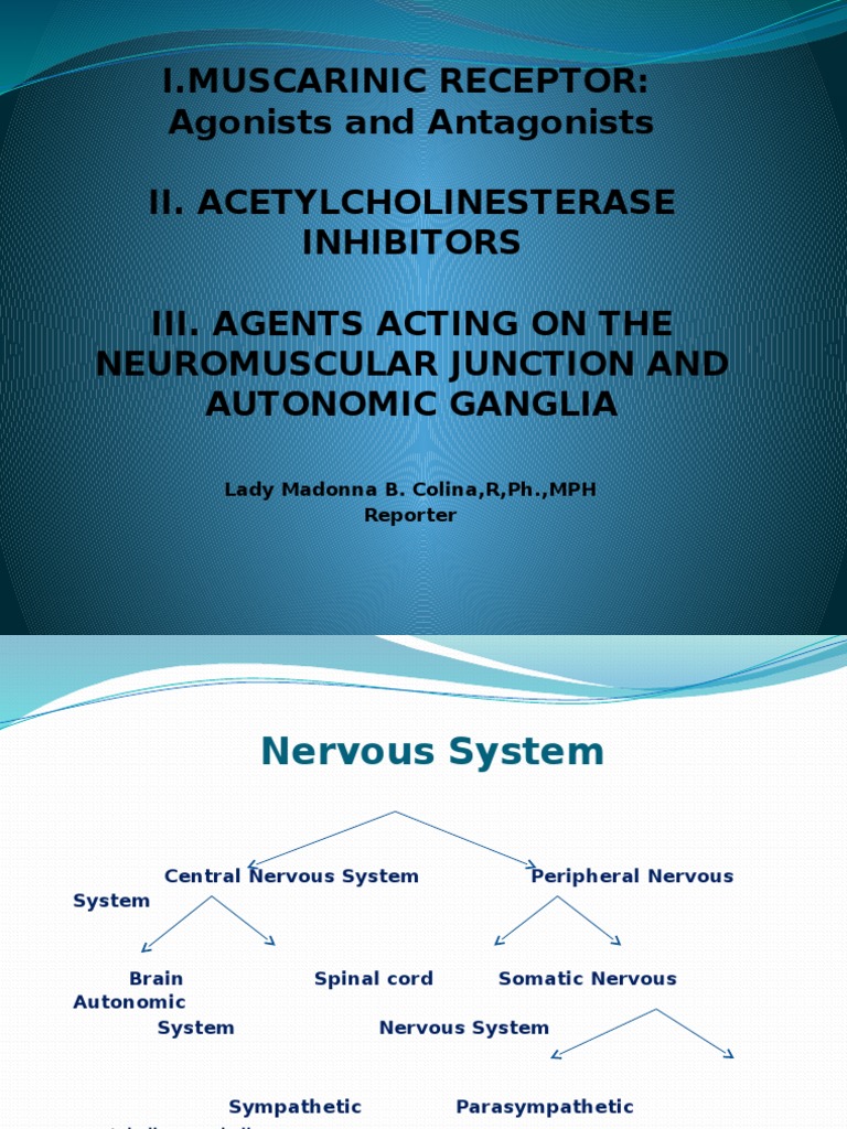 Cholinergic Receptors: Types and Functions | PDF | Acetylcholine ...