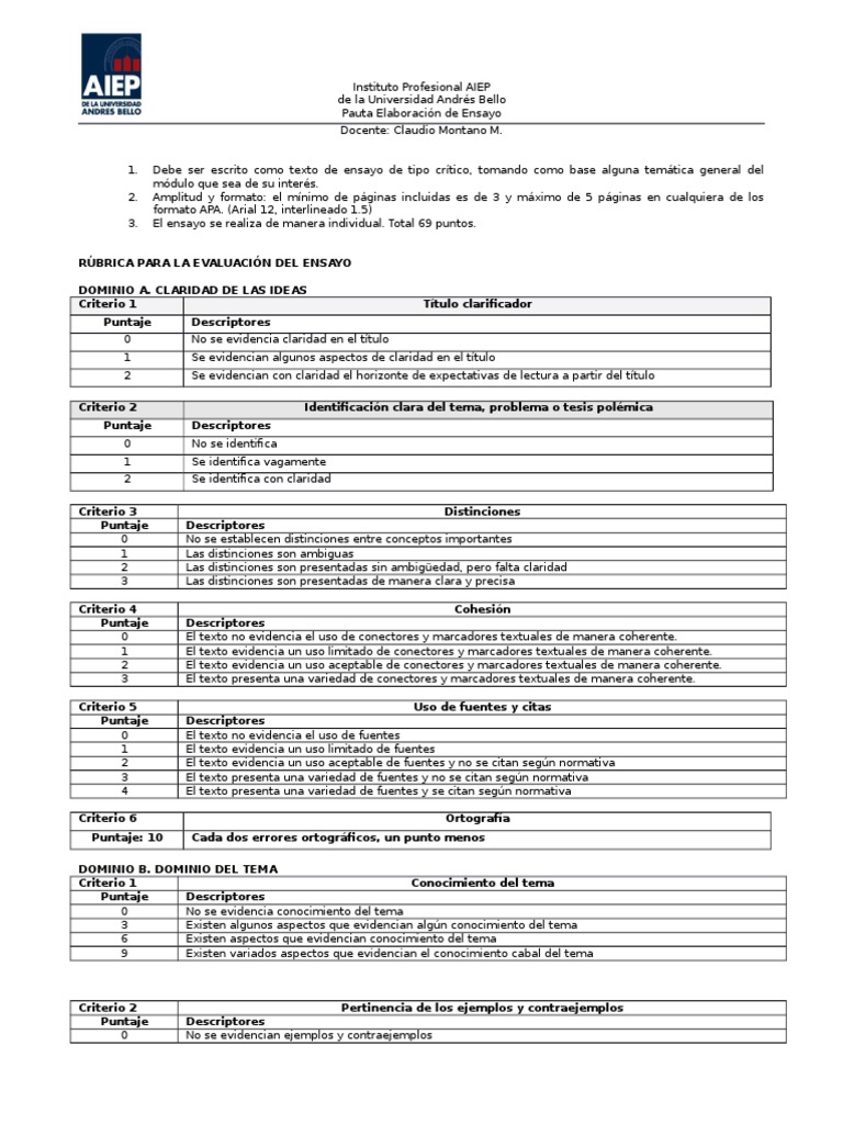 Pauta de Elaboración para Ensayo | PDF | Ensayos | Epistemología