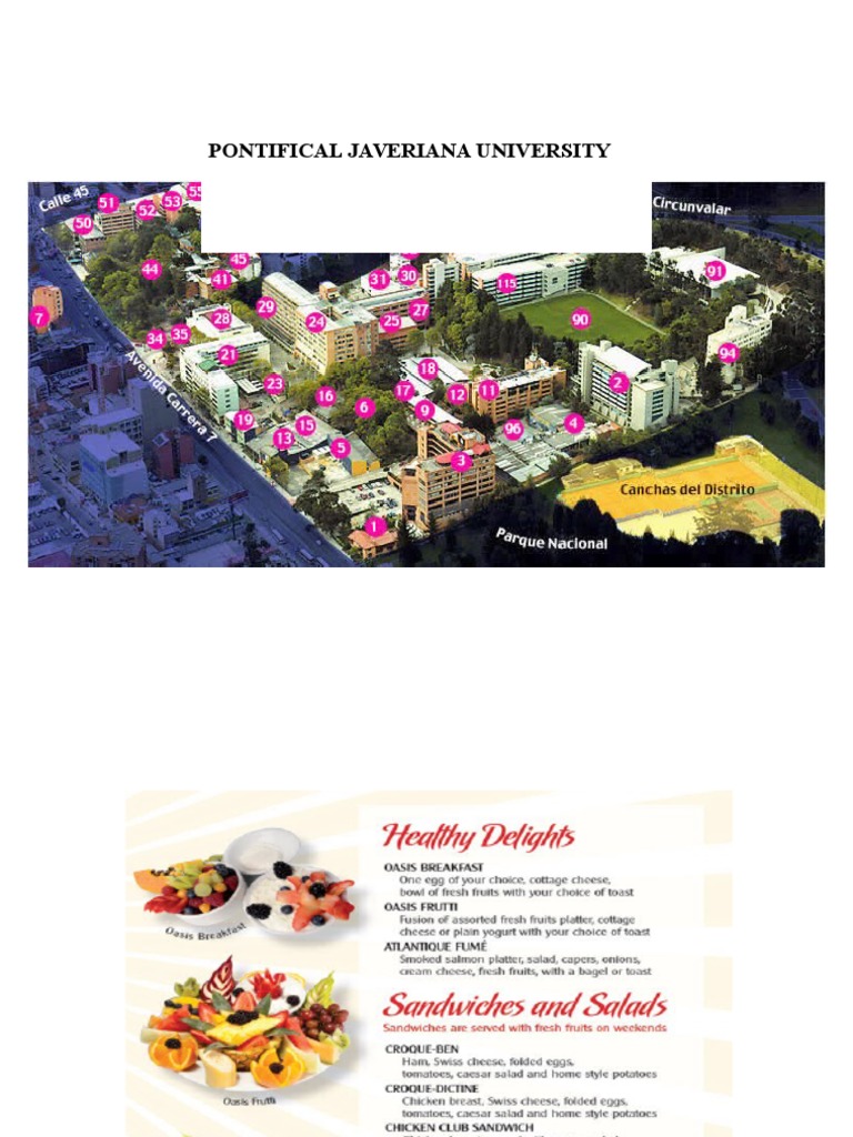 Pontifical Javeriana University | PDF