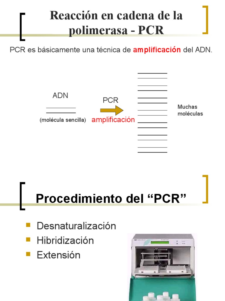 Fundamentos de PCR | PDF