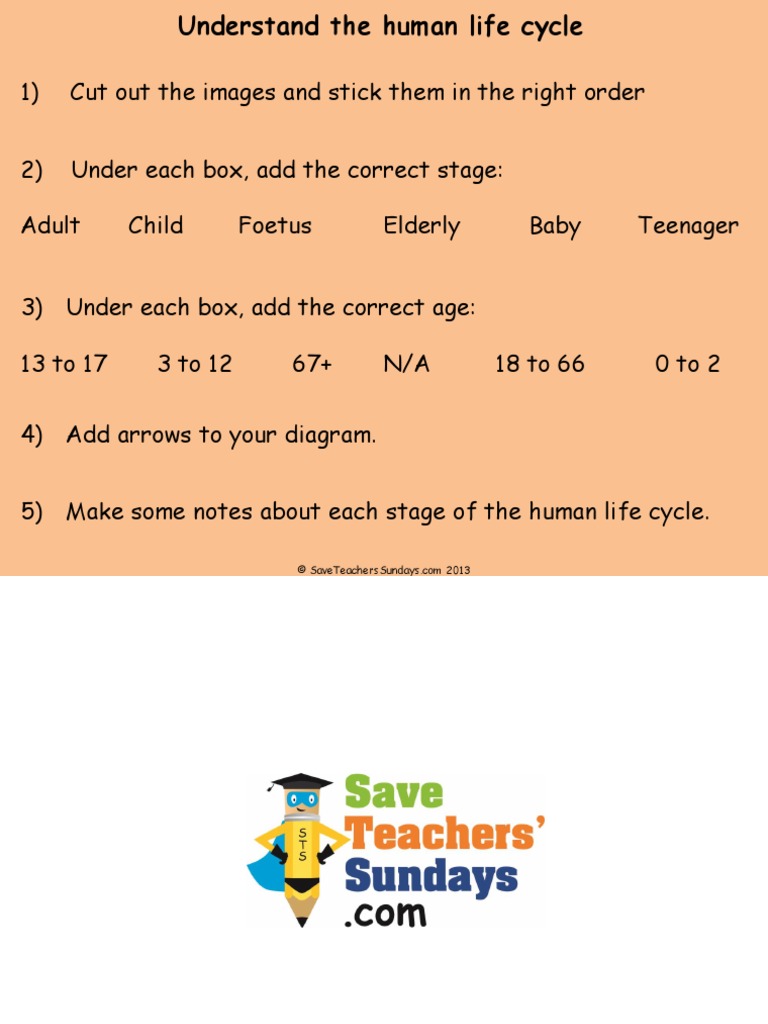 Human Life Cycle Stages for Kids | PDF | Teaching Methods & Materials