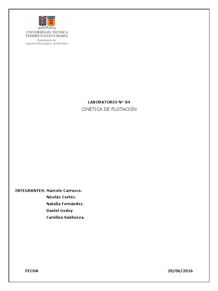 Informe De Laboratorio 4 De Min250 Pdf Cinética Química