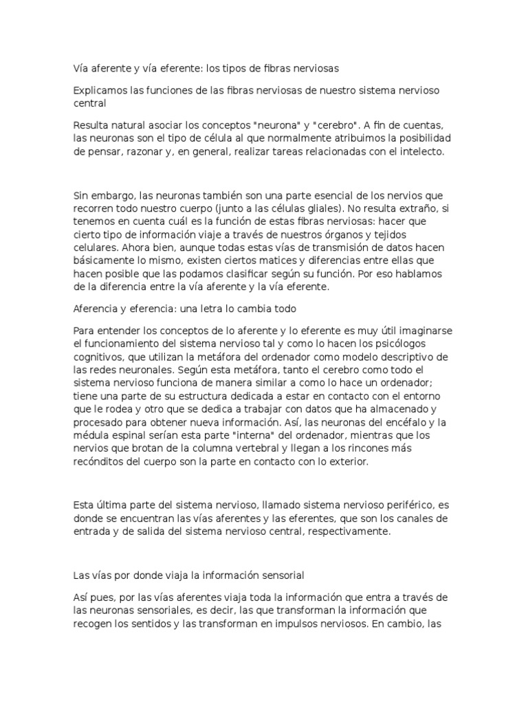 Fibras Nerviosas: Aferentes vs Eferentes | PDF | Sistema nervioso | Neurona