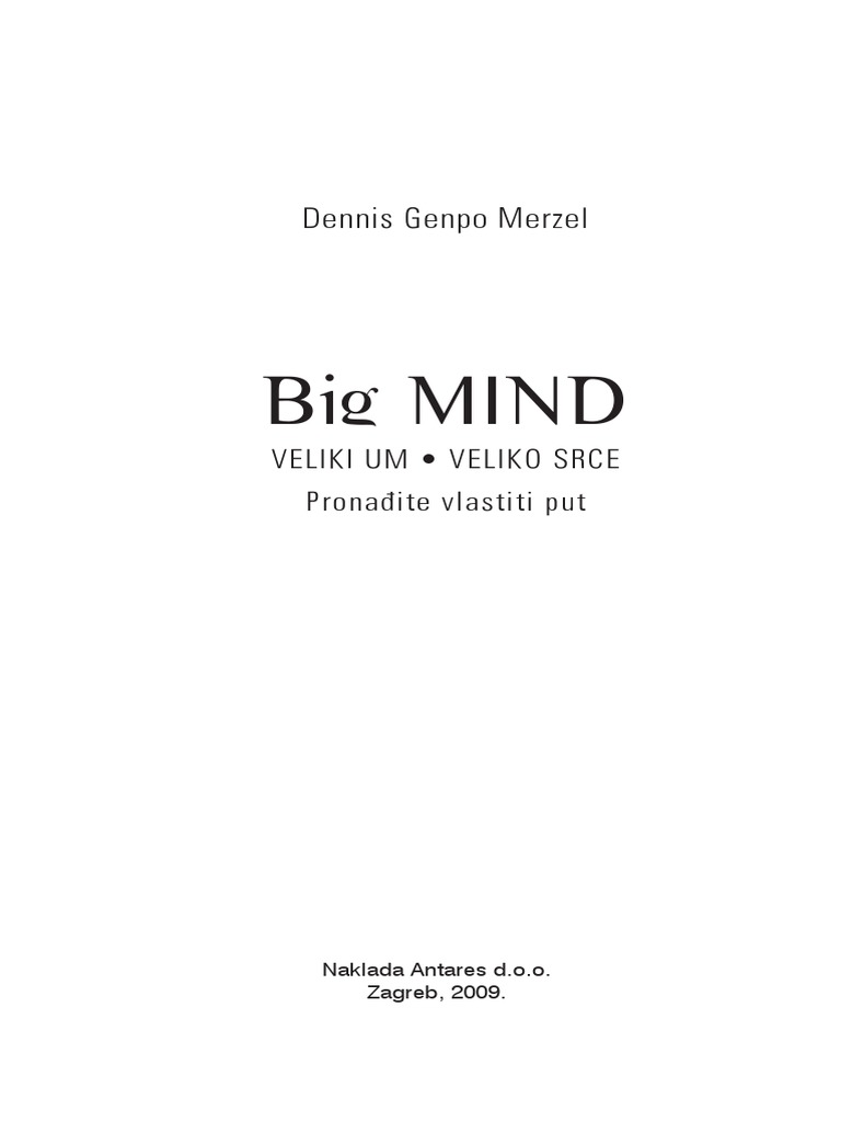 Big Mind | PDF
