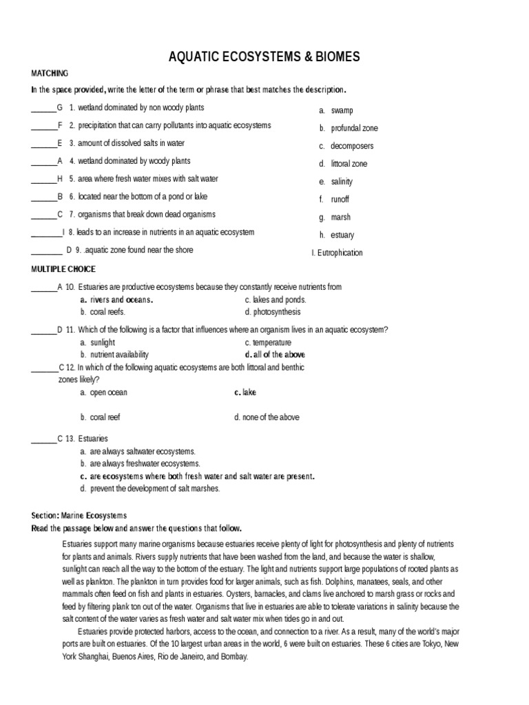 Aquatic Ecosystems and Biomes Overview | PDF | Aquatic Ecosystem ...