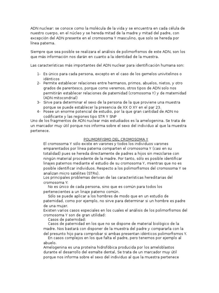 ADN Nuclear | PDF | Adn | Cromosoma