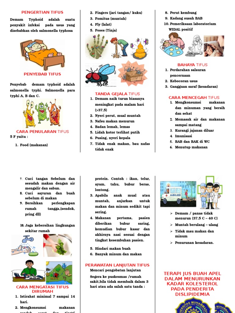 Leaflet Thypoid | PDF