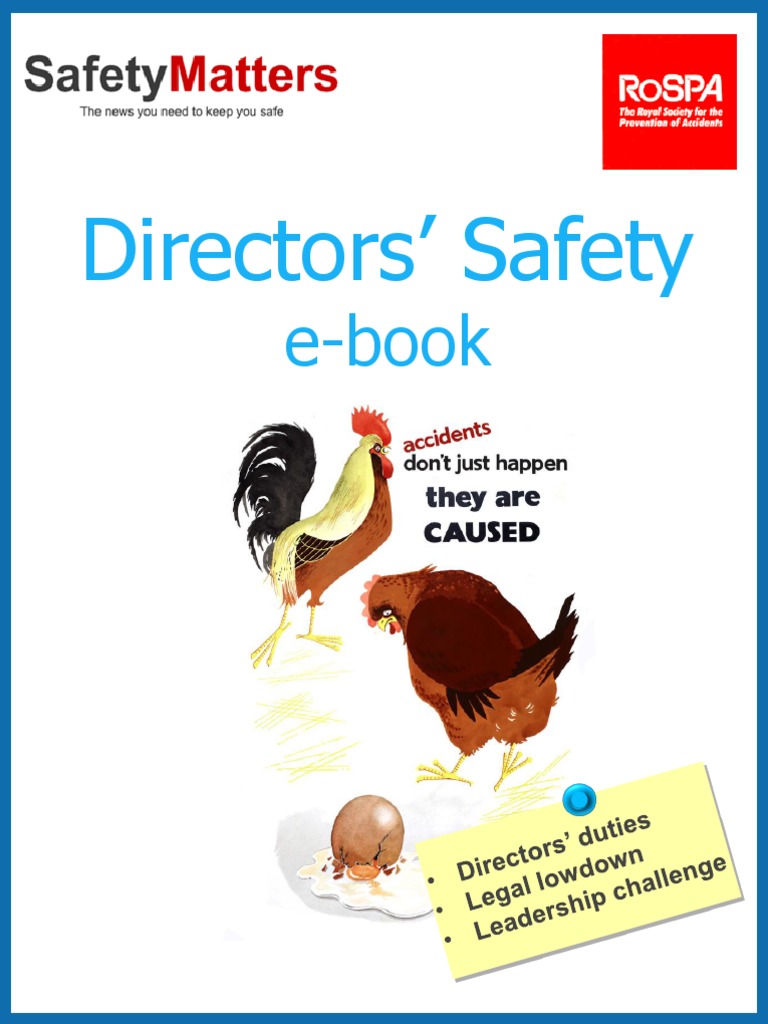 Directors Safety Ebook | PDF | Occupational Safety And Health | Safety