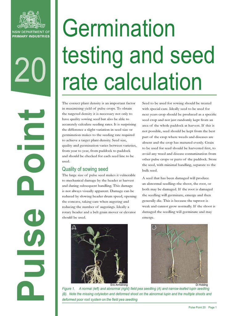 Calculation of Seed Rate and Germination % | PDF | Seed | Germination