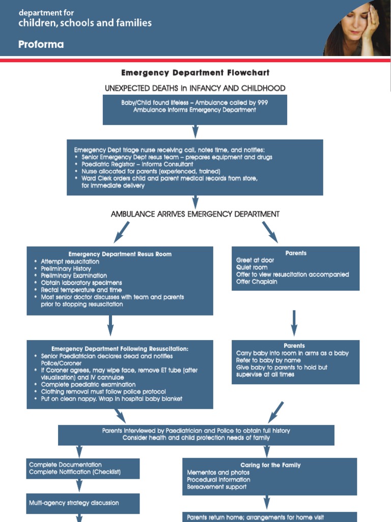 Emergency Department Flowchart | PDF | Emergency Department | Health ...