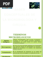 Posición Genupectoral | PDF
