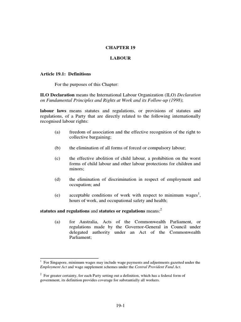 On Fundamental Principles and Rights at Work and Its Follow-Up (1998 ...