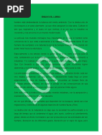 Resumen de La Pelicula El Lorax | PDF | Estudios de idiomas extranjeros | Salud y bienestar