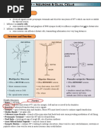 Toronto Clinical Neuropathy Scoring System | PDF | Peripheral ...