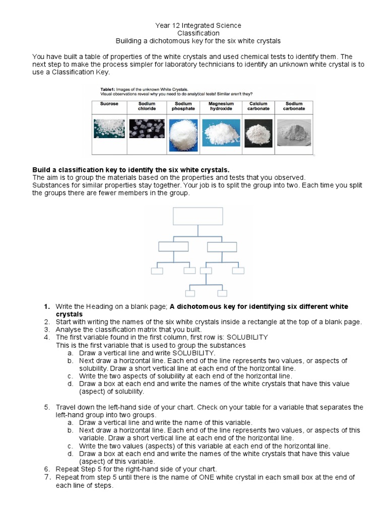 6 2 Classification Build Dichotomous Key | PDF