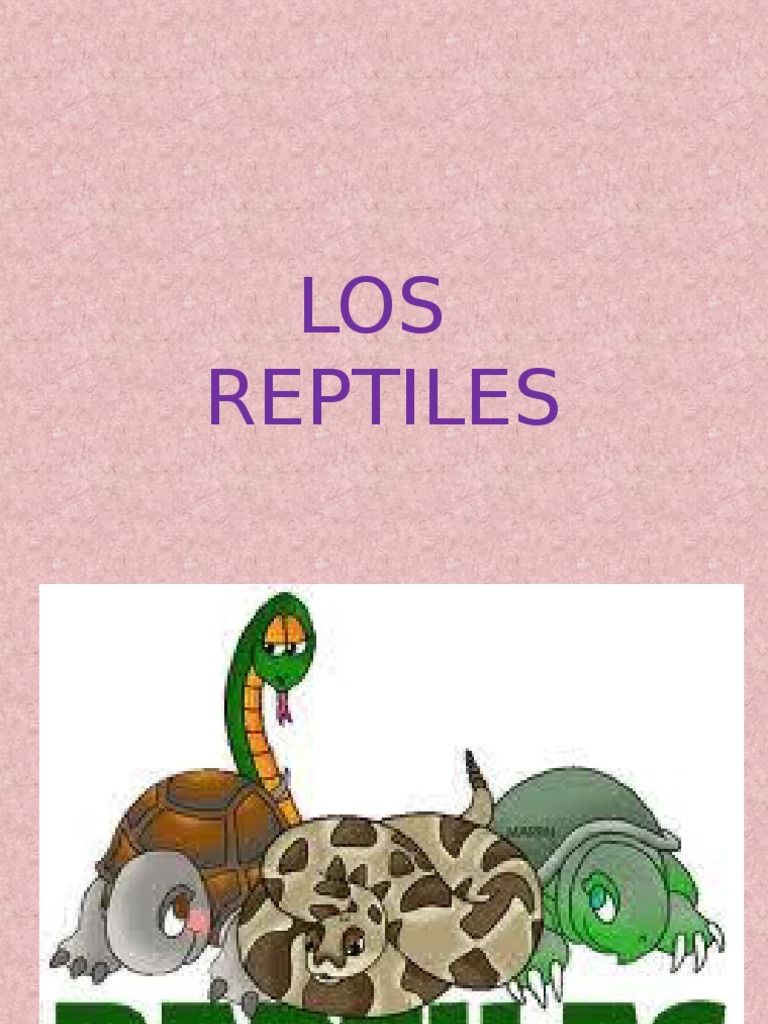 Presentacion Los Reptiles | PDF