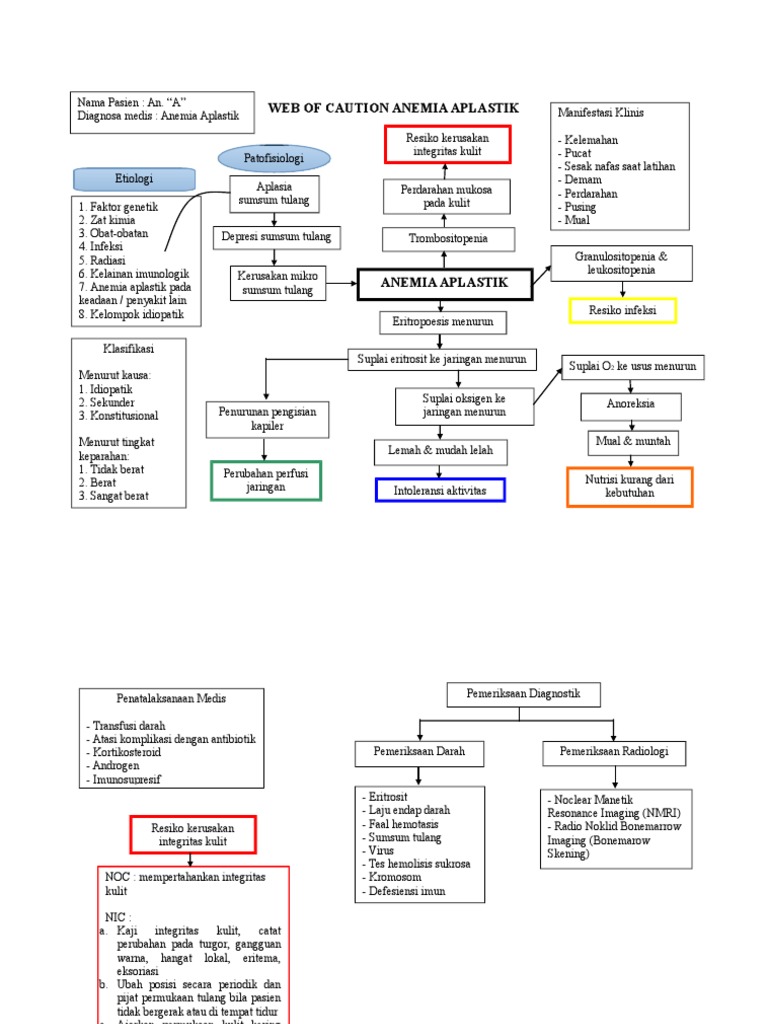 WOC Anemia Aplastik Ruang Non-Infeksi | PDF