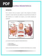 Clase Ileo Obstructivo y No Obstructivo | PDF | Intestino grueso | Abdomen