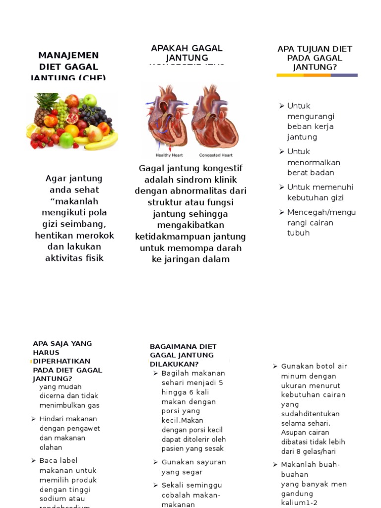 Leaflet CHF | PDF