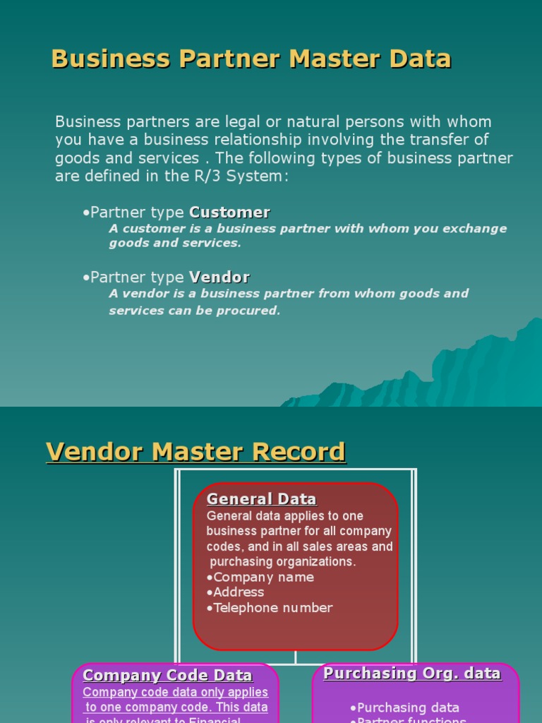 Business Partner Master Data | PDF | Sales | Business