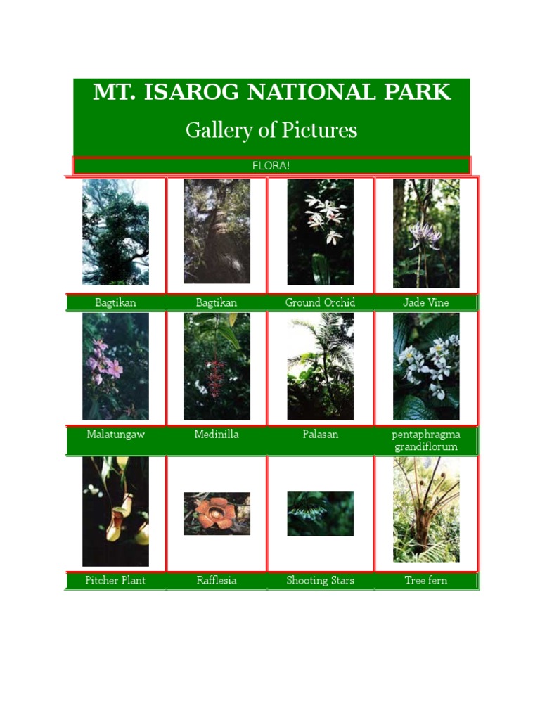 Mt. Isarog National Park: Gallery of Pictures | PDF