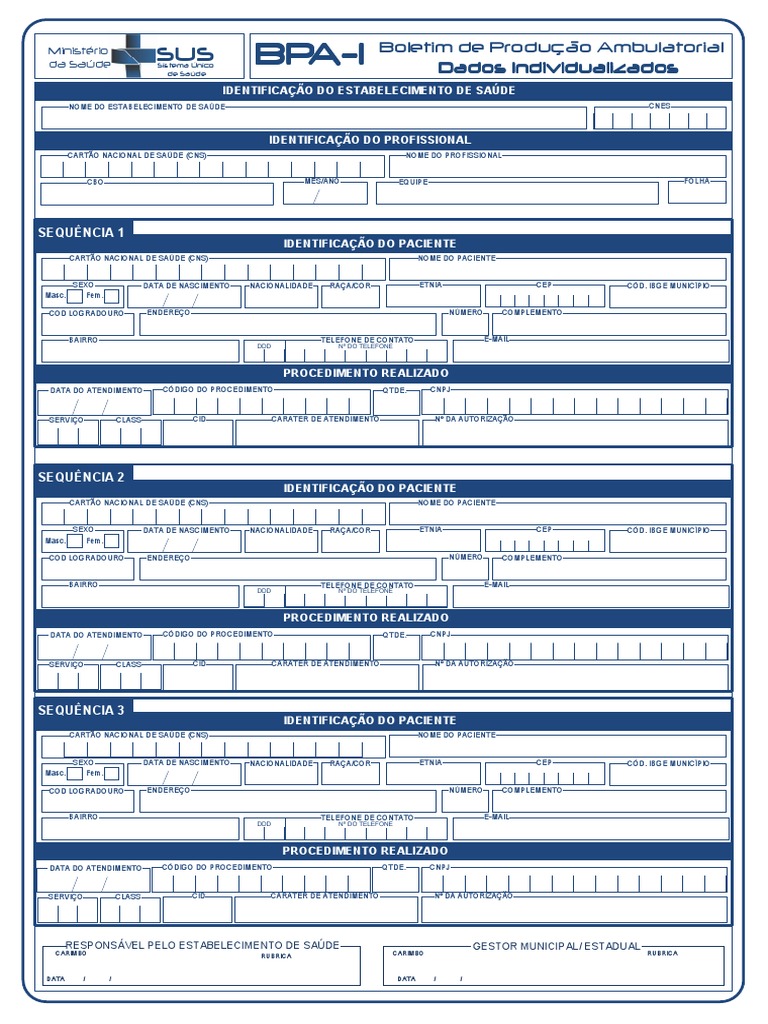 Formulario BPA I | PDF