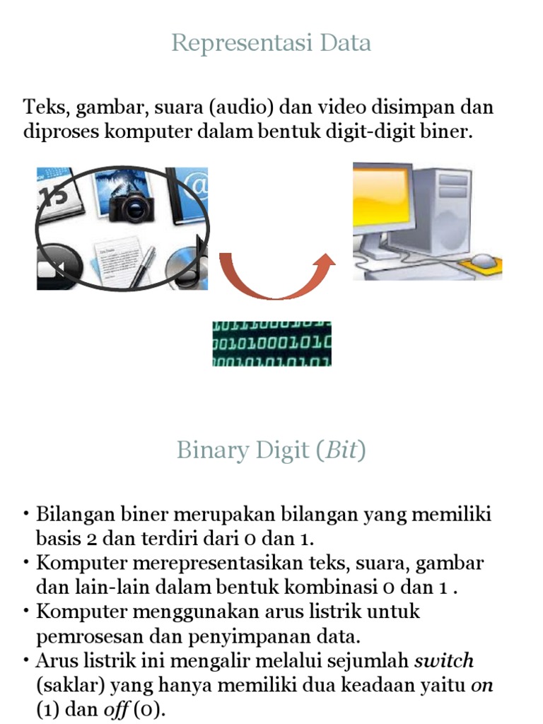 PI - Bab 4 - Representasi Data | PDF