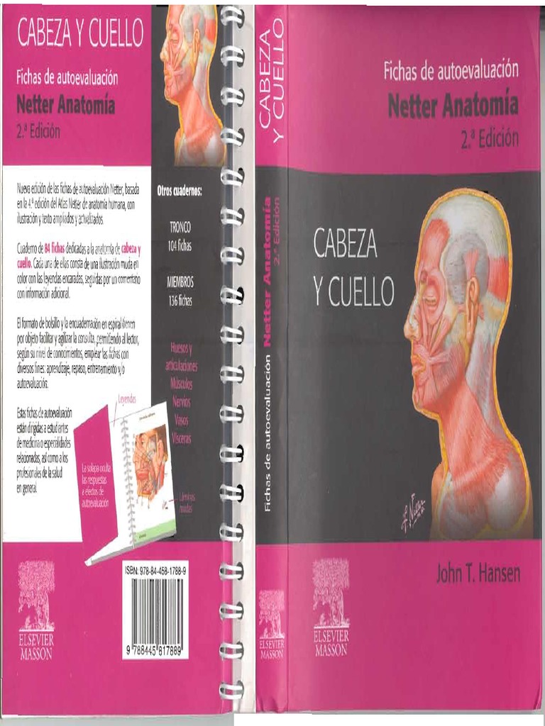 Anatomia Cabeza Y Cuello-Hansen John T - Netter PDF | PDF | Cráneo ...