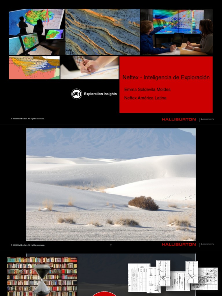 Neftex | PDF | Geología del petróleo | Petróleo