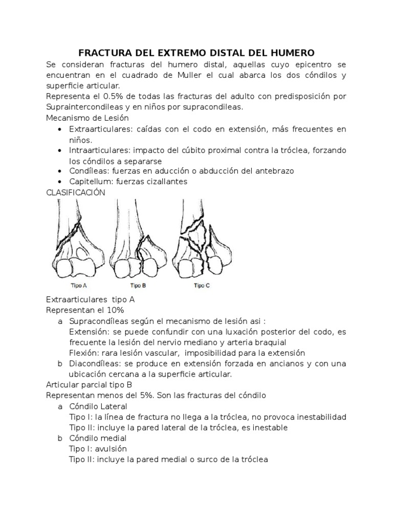 Fractura del Húmero Distal: Diagnóstico y Tratamiento | PDF | Codo ...