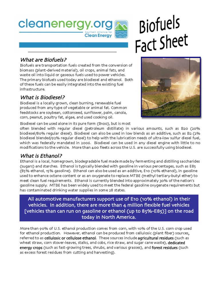 Biorefineries Fact Sheet | PDF | Biofuel | Biodiesel