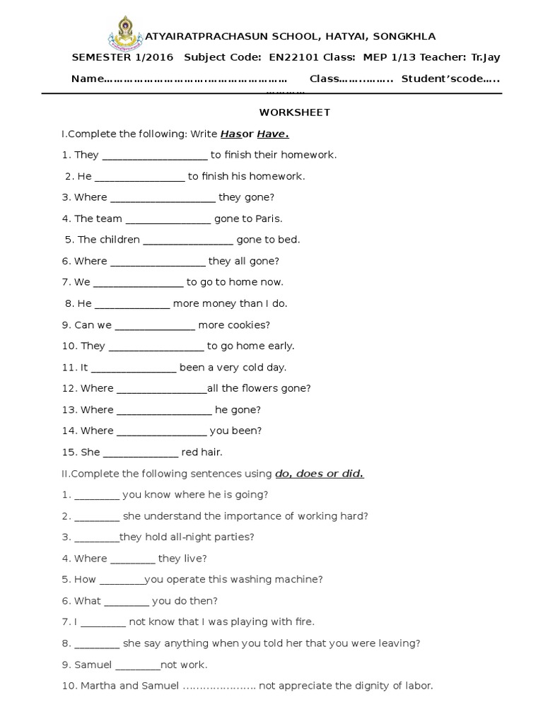 Worksheet Has Have | PDF