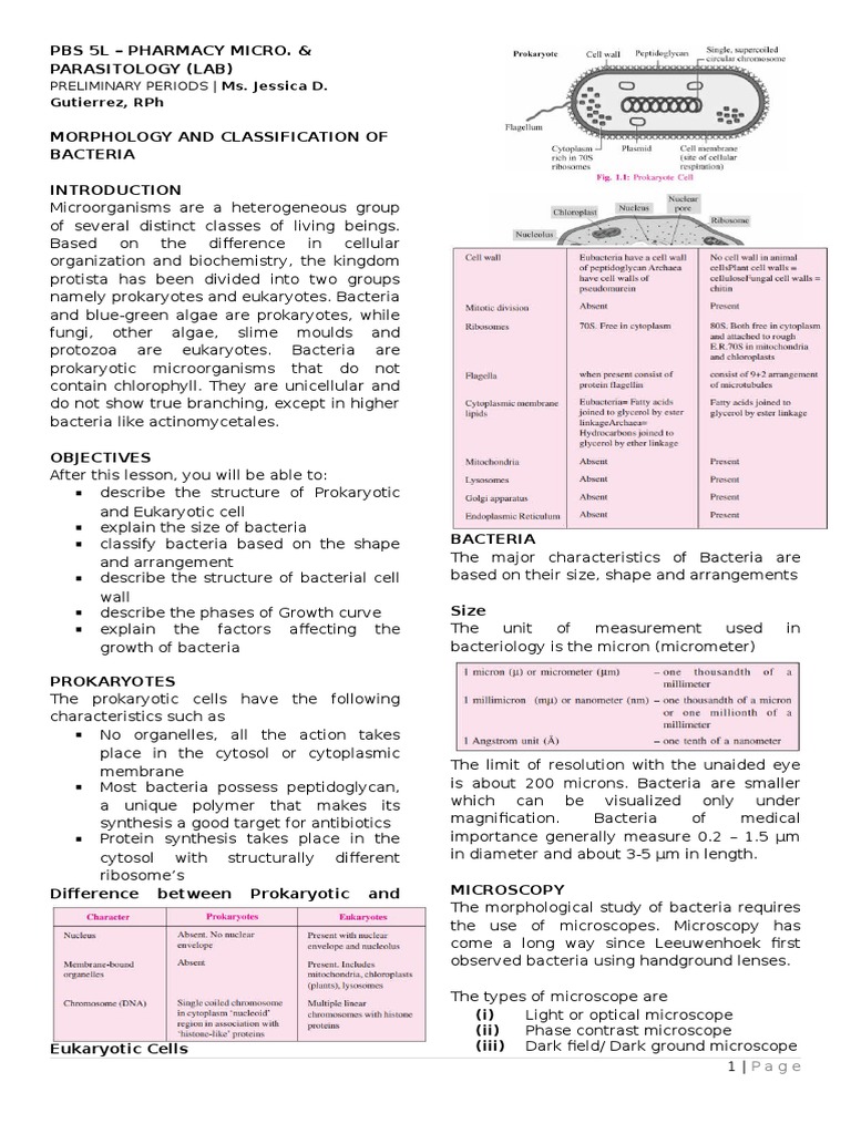 Micro Notes | PDF | Bacteria | Lipopolysaccharide
