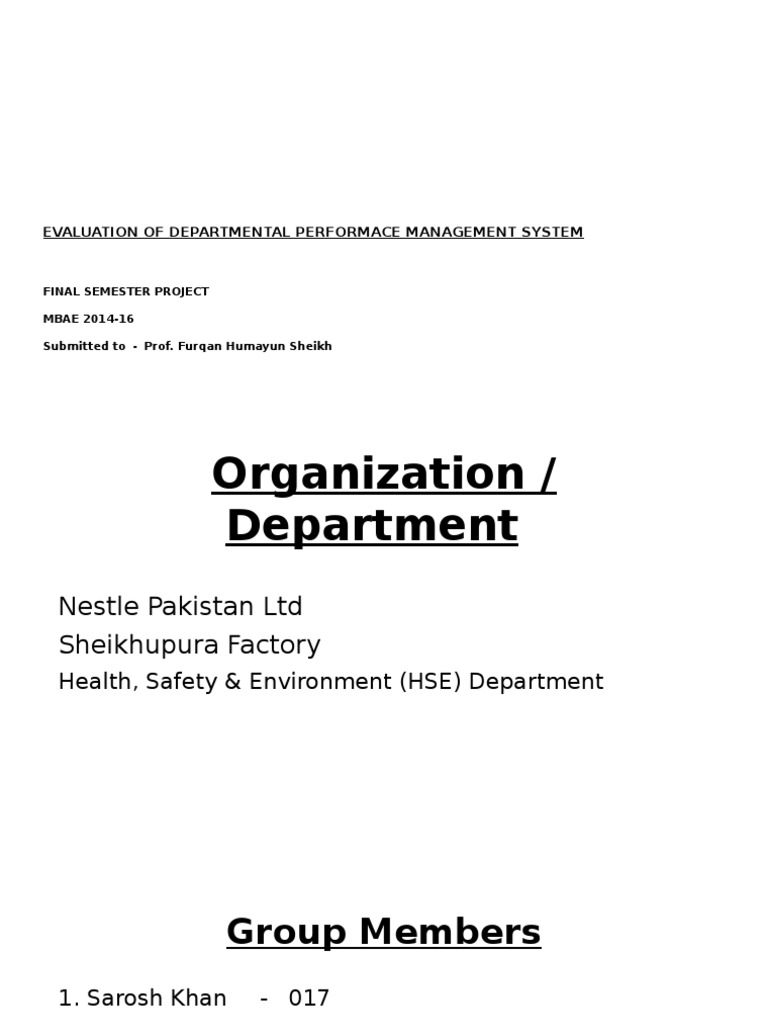 Evaluation of the Performance Management System of the Health, Safety ...