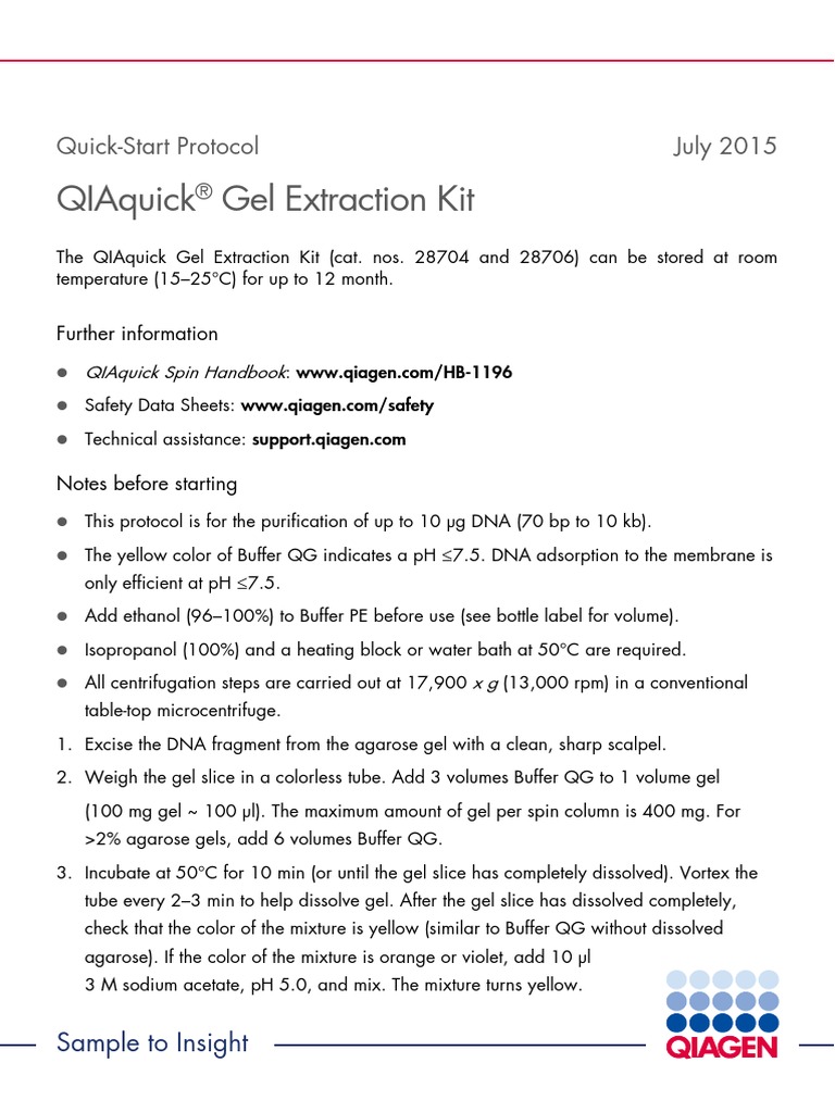 QIAquick Gel Extraction Kit En PDF Gel Electrophoresis, 54% OFF