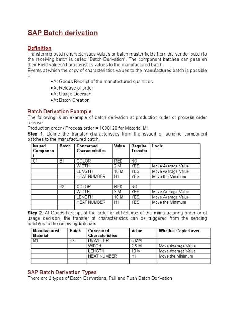 SAP Batch Derivation | PDF | Software Engineering | Information Technology Management