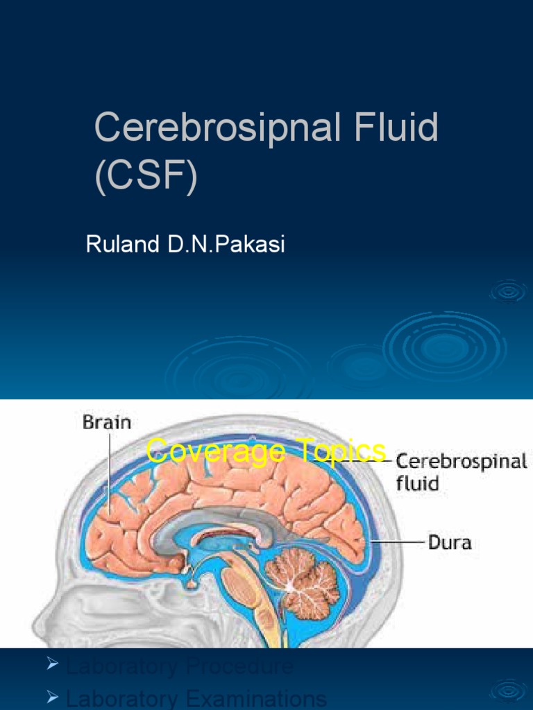 LabTest Neuropsi 26 Feb2010 - Dr. Ruland | Download Free PDF ...