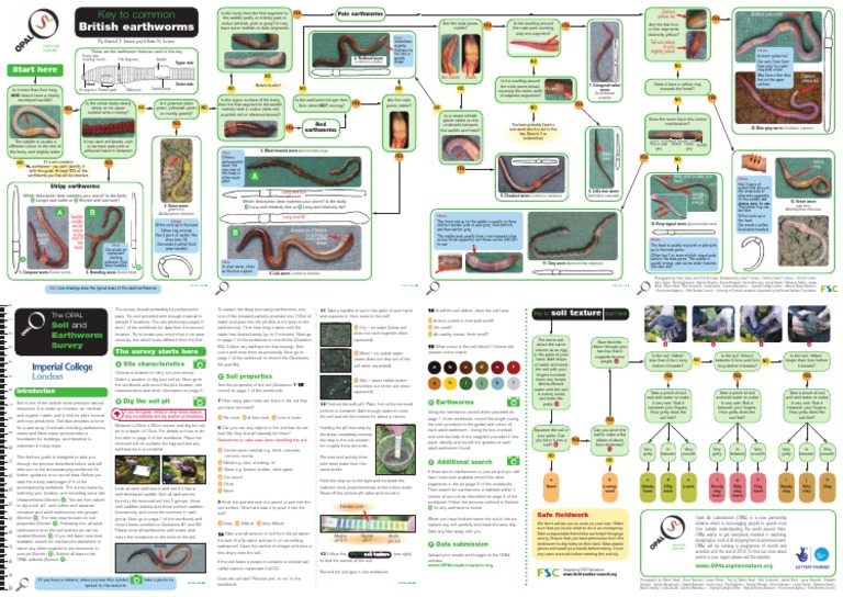 British Earthworms: Start Here | PDF | Soil | Soil Science